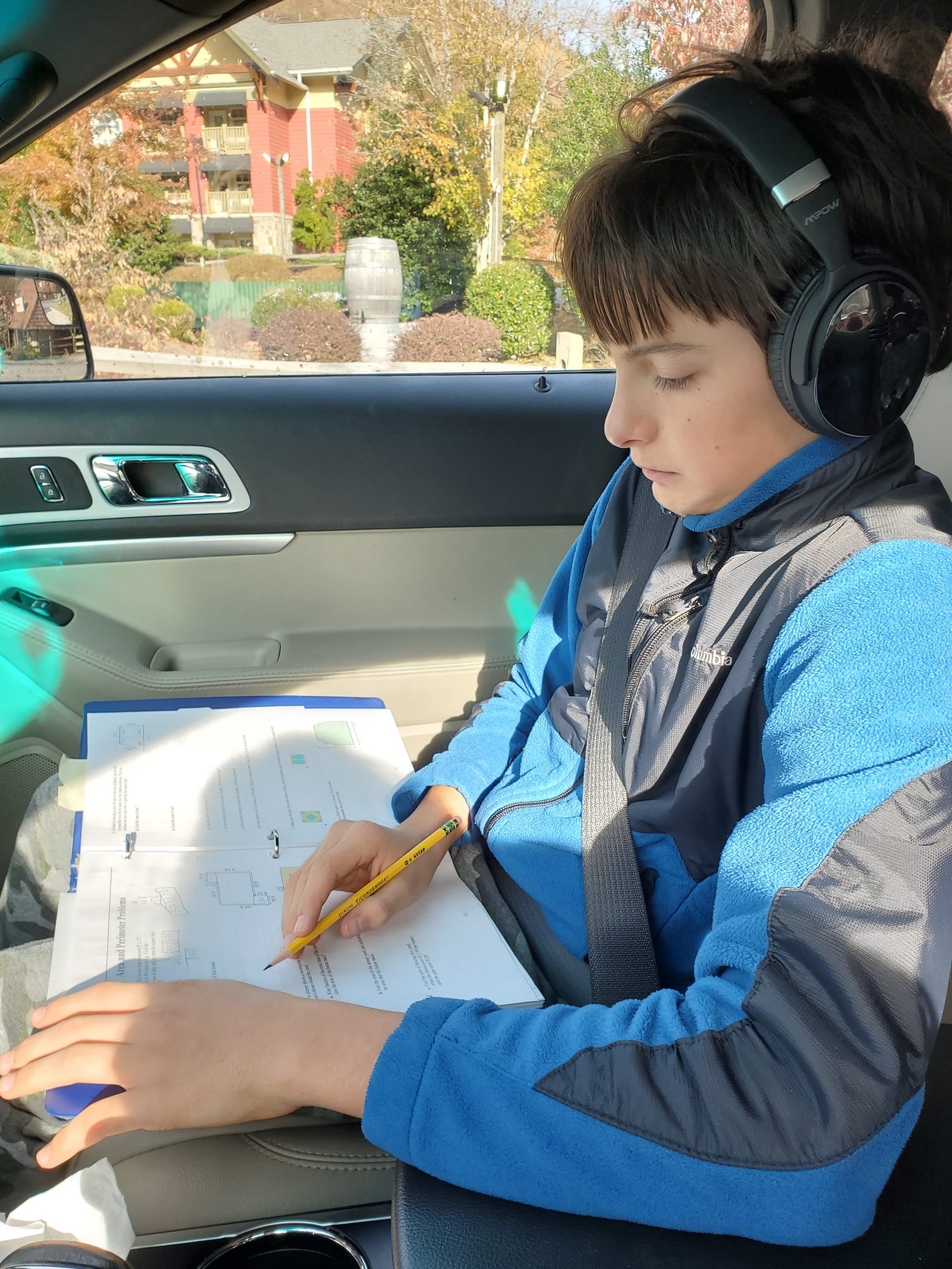 Lessons from the Fourteenth Week - Homeschool WaysHomeschool Ways