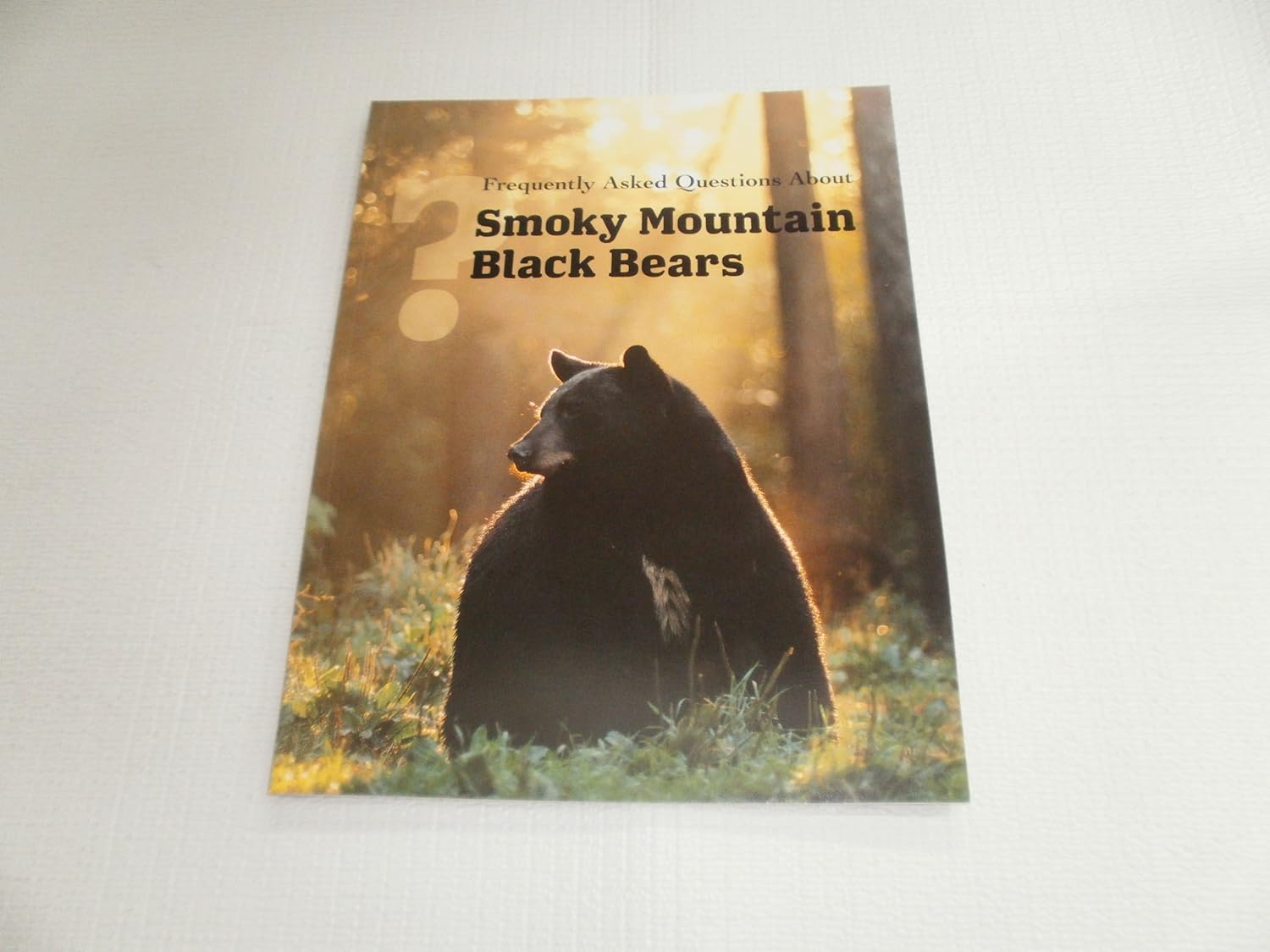 Smoky Mountain Black Bears Archives - Homeschool WaysHomeschool Ways